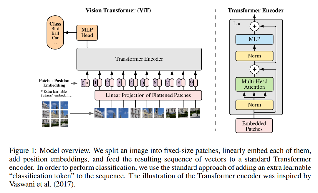 Computer Vision | Saeed Mehrang